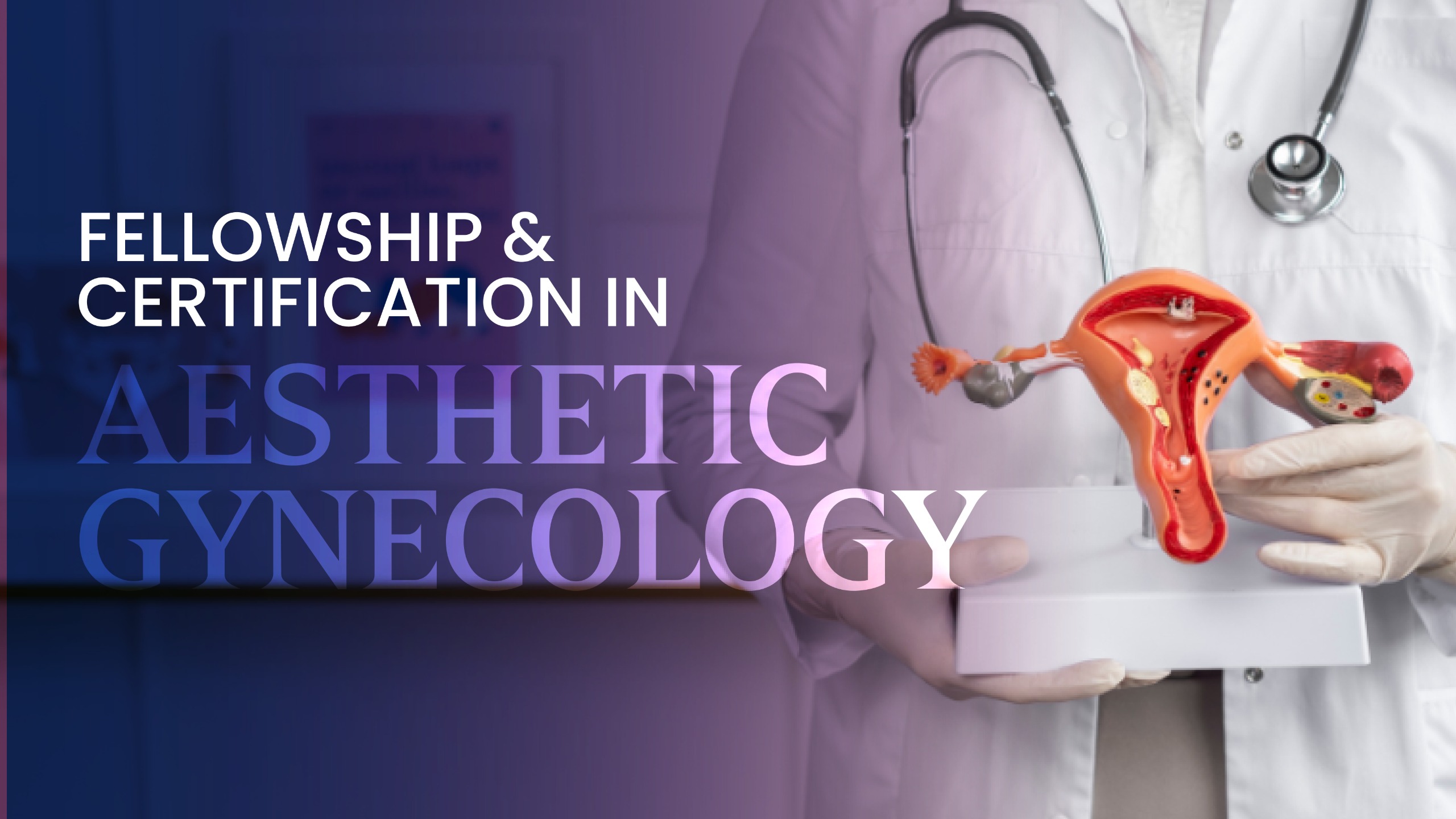 Aesthetic Gynecology Fellowship, Training and Certification | MedProdoc ...
